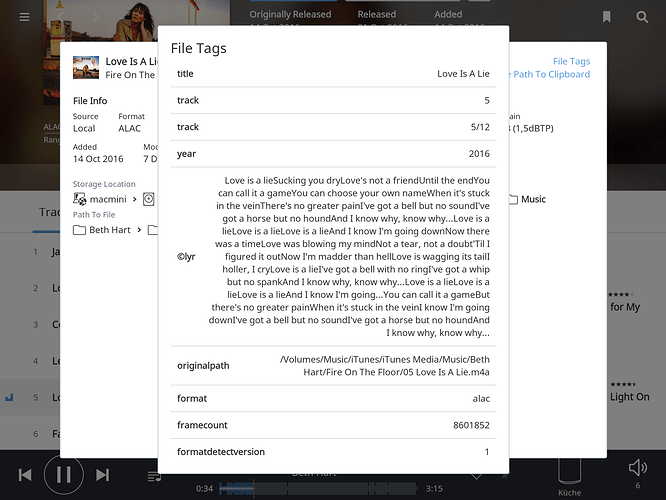 Roon 1.3 Bring back Lyrics in album details [explained] - Feature ...