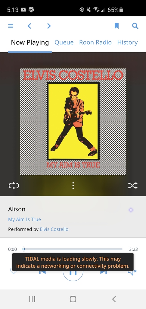 Issues with Media and Tidal loading slowly - Support - Roon Labs Community