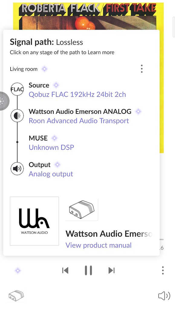 Phantom Unknown DSP - Support - Roon Labs Community