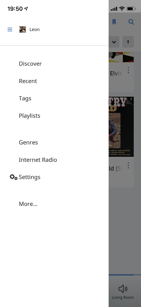 Low resolution icons and sub-standard visuals on iOS - Support - Roon ...