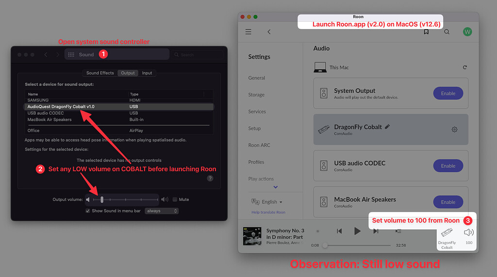 Roon 2.0 is unable to fully control the sound volume on Dragonfly Cobalt [Ticket In] - Support ...