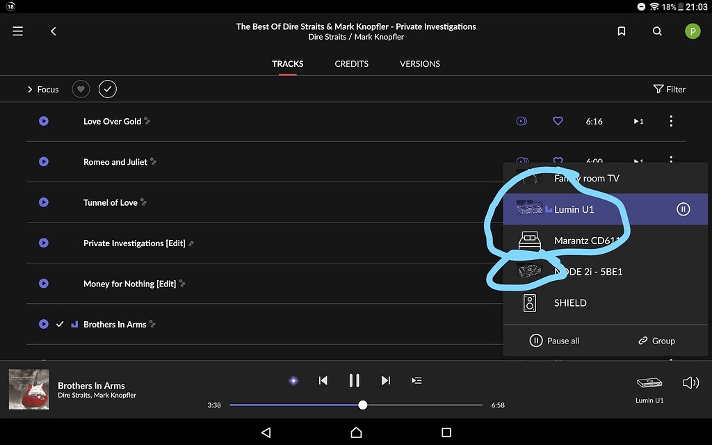 Roon remote 1.8 Android - Audio icons flickering - Support - Roon Labs ...