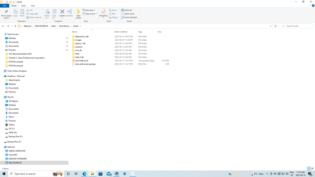 Clearing Cache from my Roon Server - Nucleus Support - Roon Labs Community