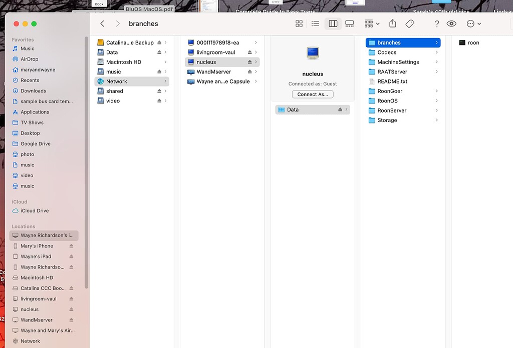 Why did my Roon nucleus not upgrade to 2.0 after following migration ...