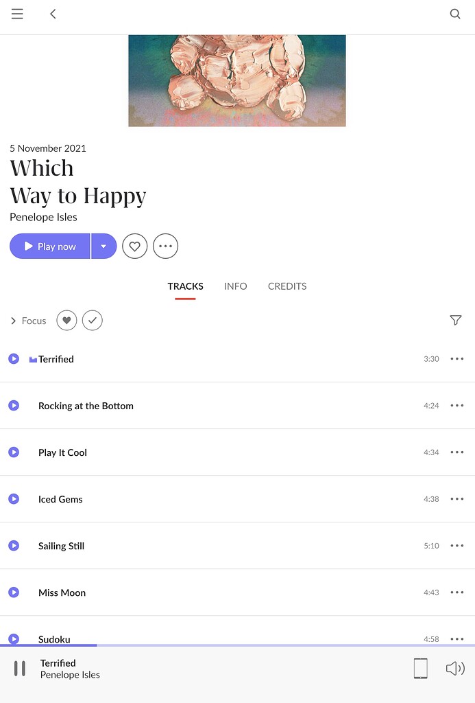 iPad mini layout - Roon Software Discussion - Roon Labs Community