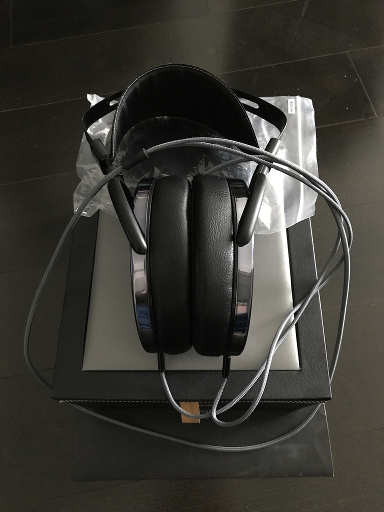 FS: Hifiman Edition X v1 (With v2 & v1 pads) [Sold] - Sales and Trades ...