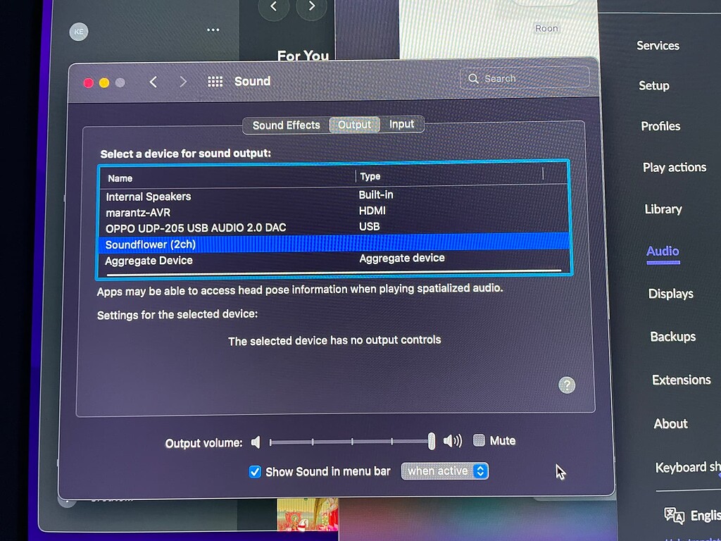 Mac Mini - Roon Reinstall - Roon Not Detecting Mac Audio Output ...