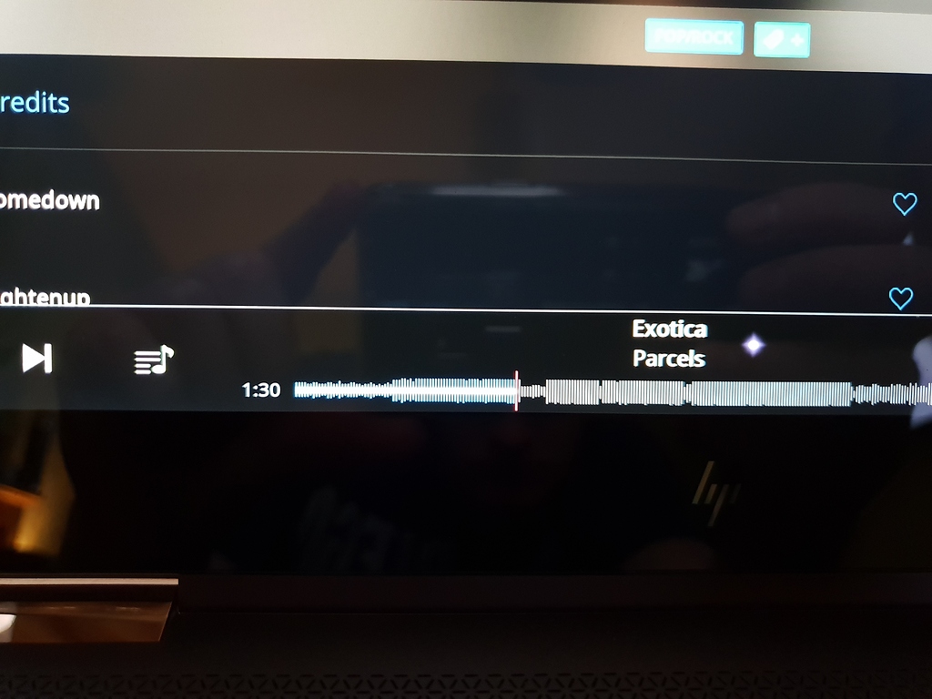 Roon Display wave form - Roon Software Discussion - Roon Labs Community
