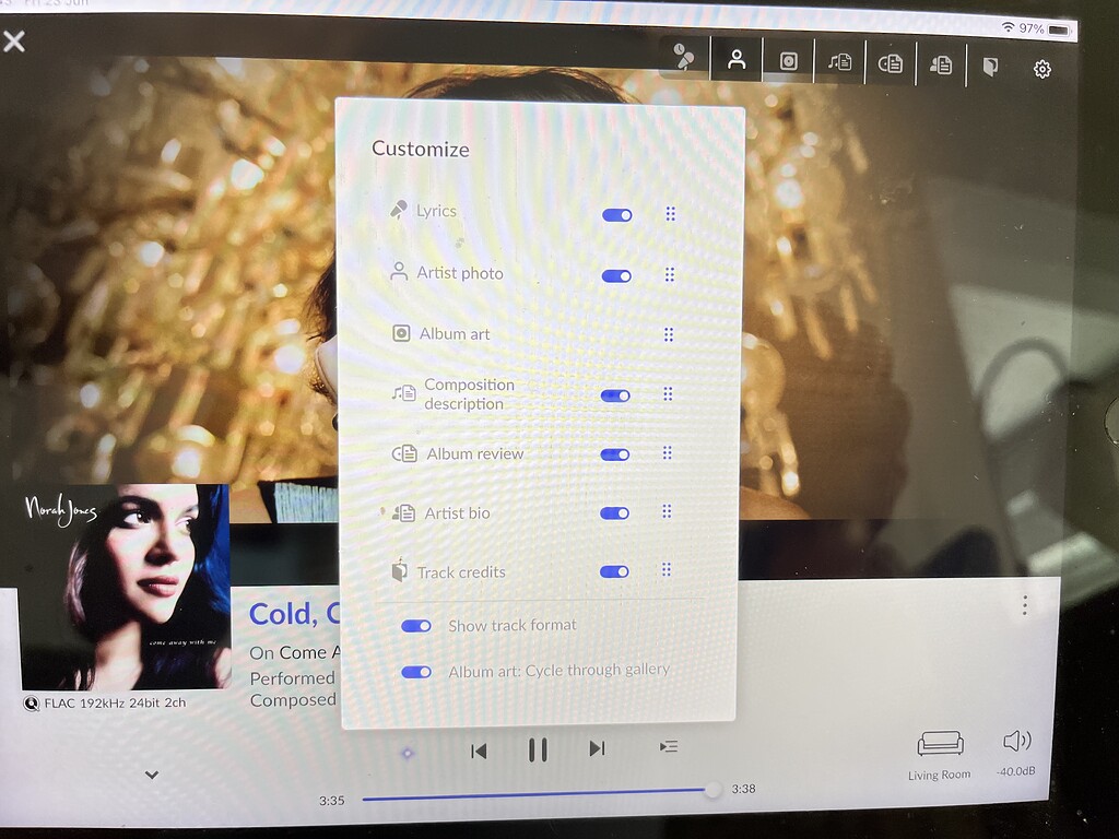 Now Playing screen - Have either lyrics, artist, photo, … as default ...