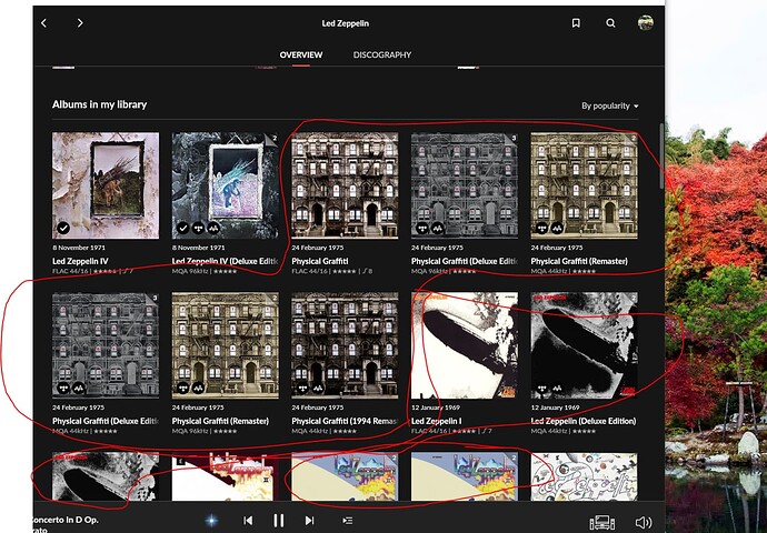 How To Show All Versions In Artist Discography? - Support - Roon Labs Community