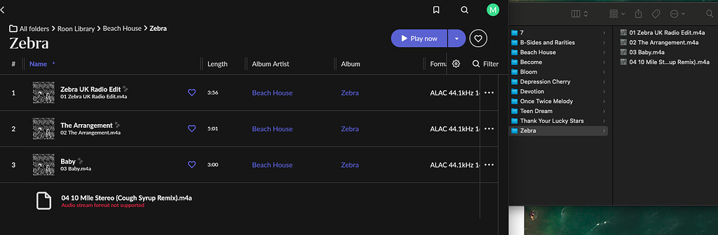 Missing Tracks on import - Strange - Roon Software Discussion - Roon Labs Community
