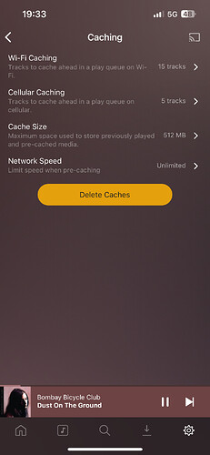 Roon ARC - Add Track Cache Feature to the App - Feature Suggestions - Roon Labs Community