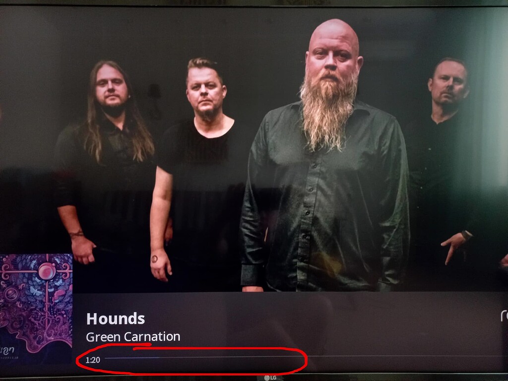 Roon Display. The Progress Bar Is Too Thin - Feedback - Roon Labs Community