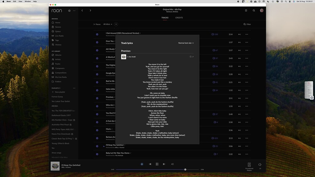 Wrong Lyrics - Metadata - Roon Labs Community