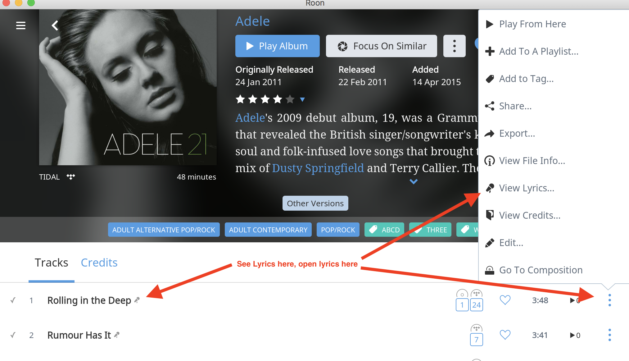 Roon 1.3 Bring back Lyrics in album details [explained] - Feature ...