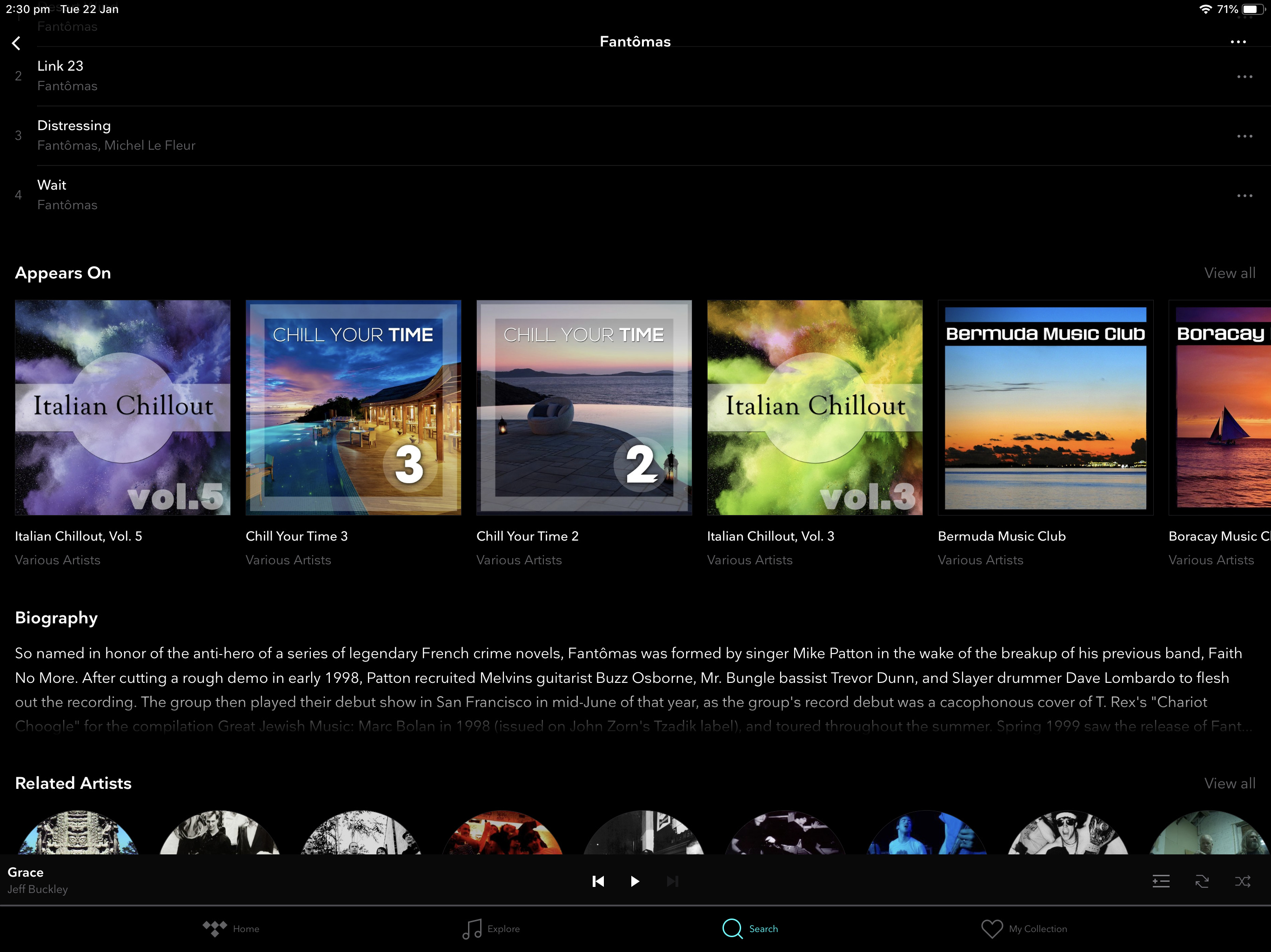 Artist equivalence: Fantômas Vs Fantomas - Metadata - Roon Labs Community