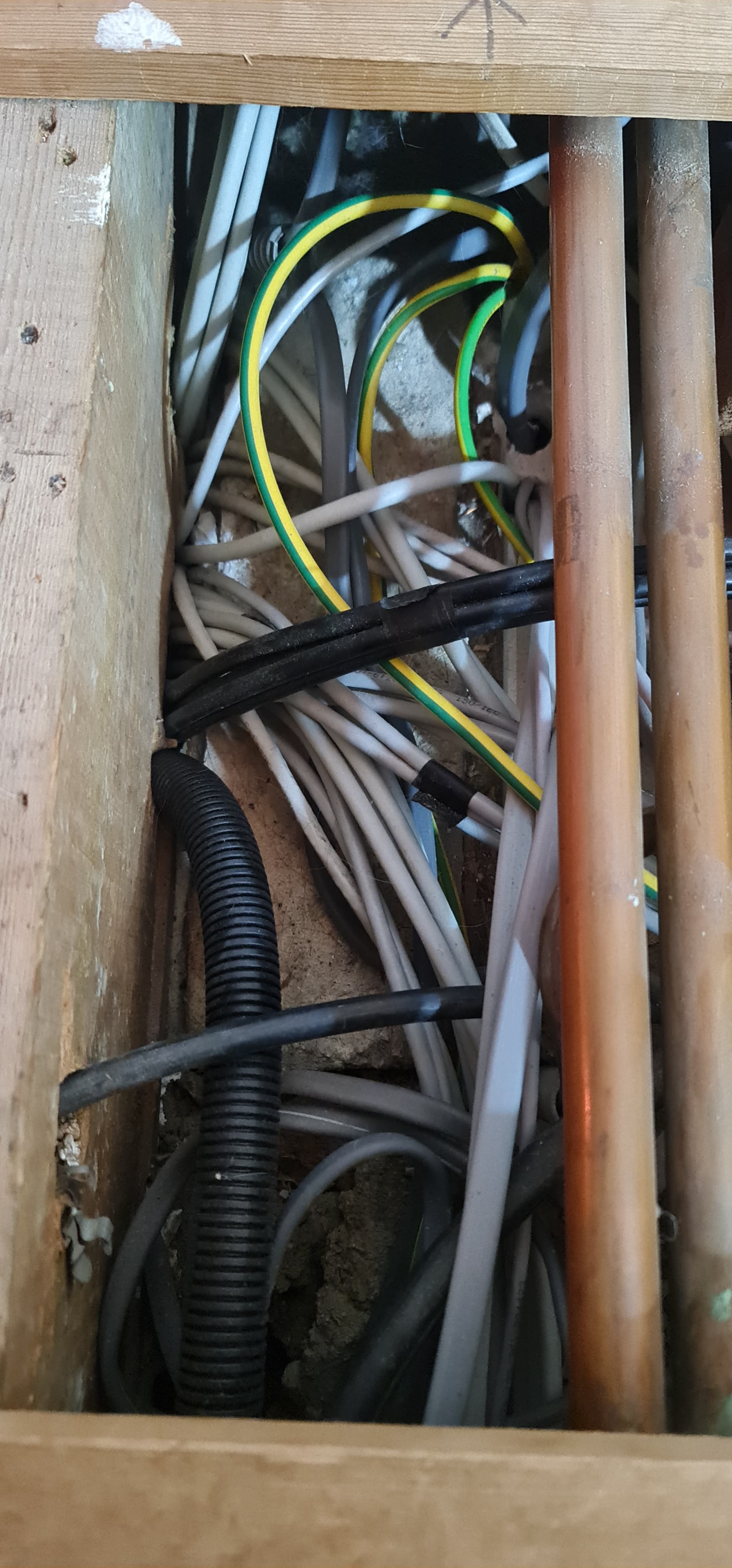 Connectivity issues with Nucleus - Support - Roon Labs Community