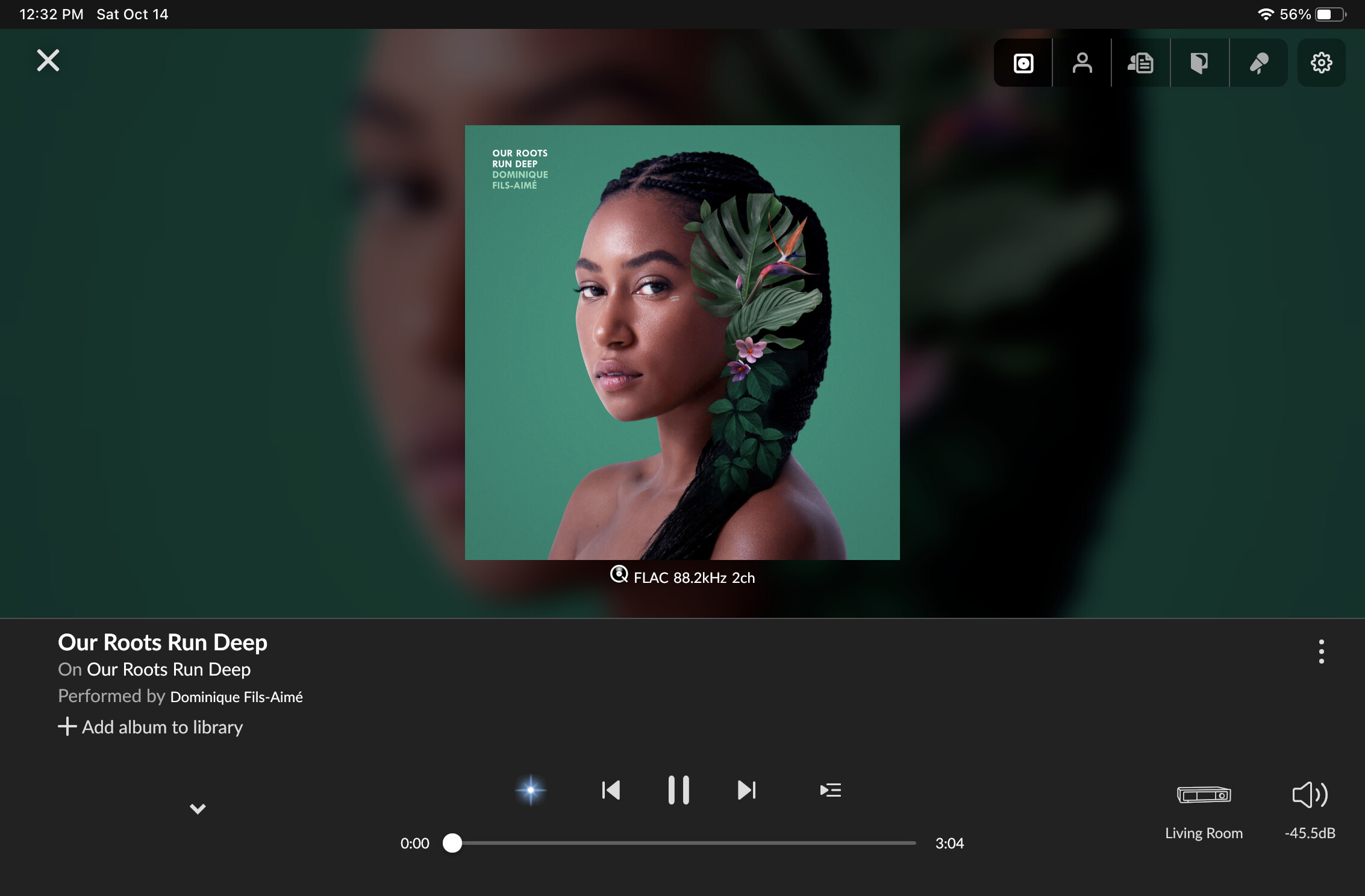 Issue with Skipping Tracks on Roon - Support - Roon Labs Community
